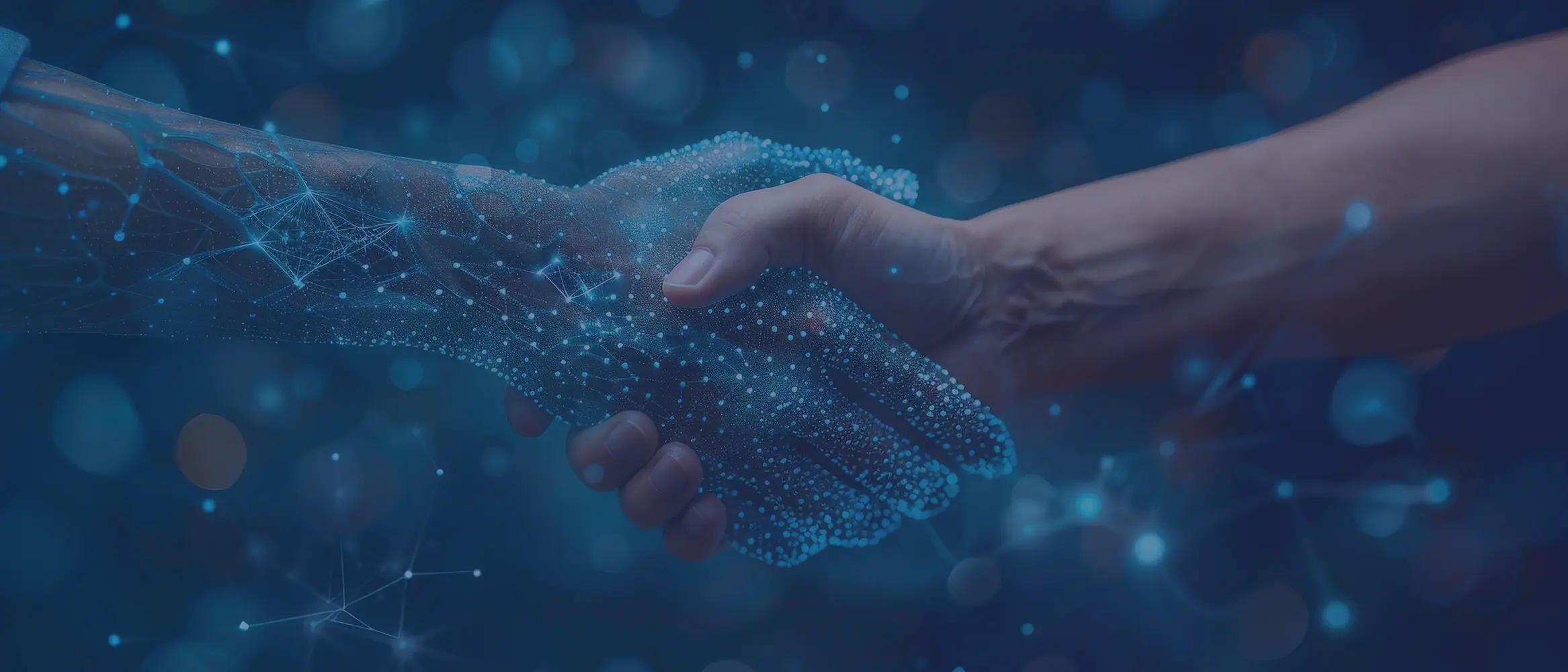 Technology, Reseller and ISV Partner